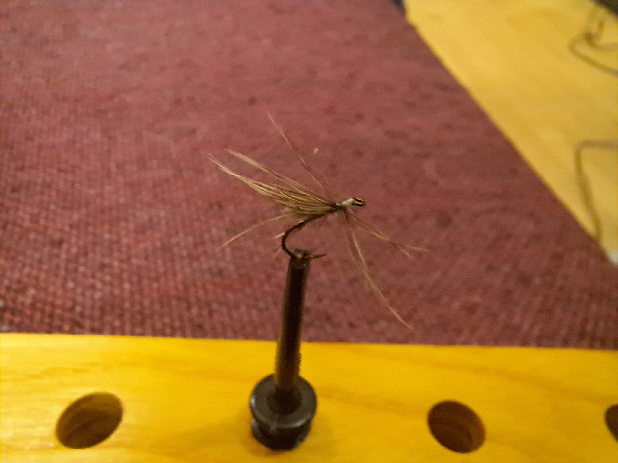 Branch News – North West Fly Dressers' Guild